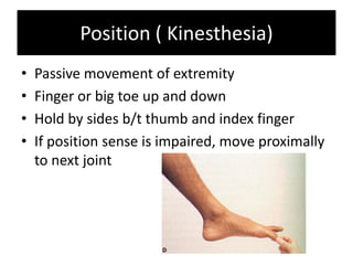 Examination of motor system | PPTX