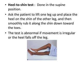 Heel To Shin Test