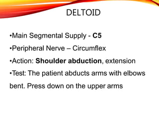 Examination of motor system | PPTX