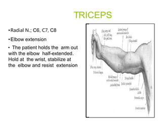 Examination of motor system | PPTX