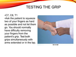 Examination of motor system | PPTX