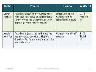 Examination of Motor System with reference.pptx | Free Download