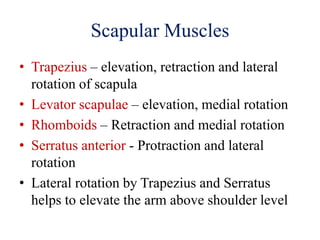 Examination of muscles | PPTX
