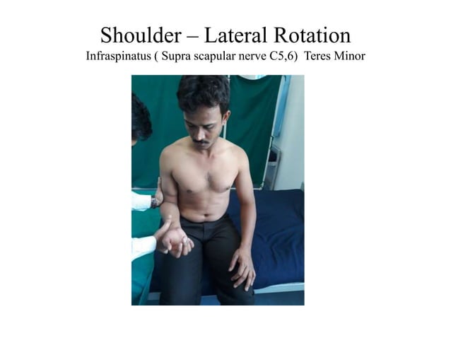 Examination of muscles | PPT