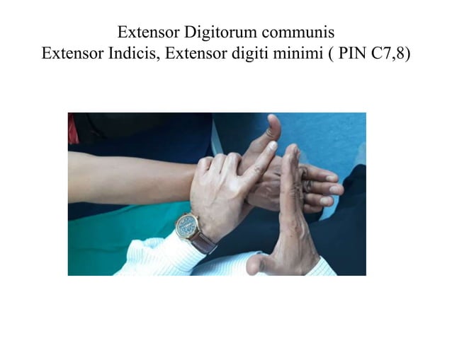 Examination of muscles | PPT