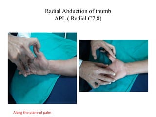 Examination of muscles | PPTX
