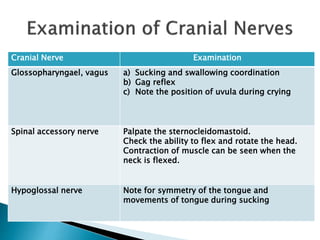 Examination of neonate | PPTX