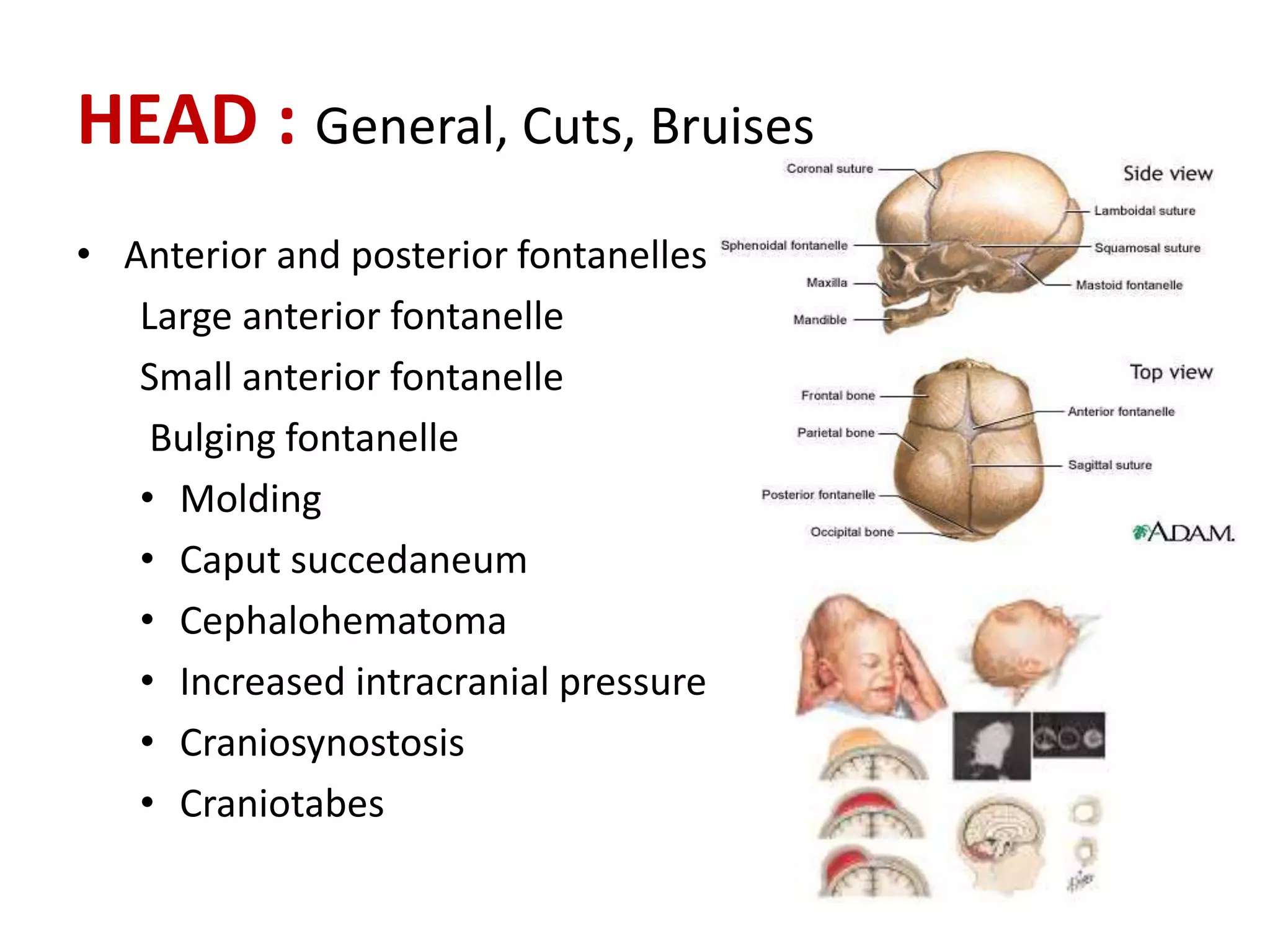 Examination of newborn. | PPTX