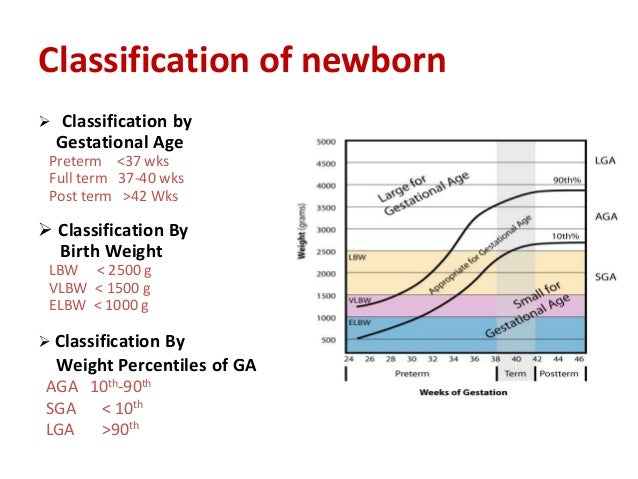 Examination of newborn.