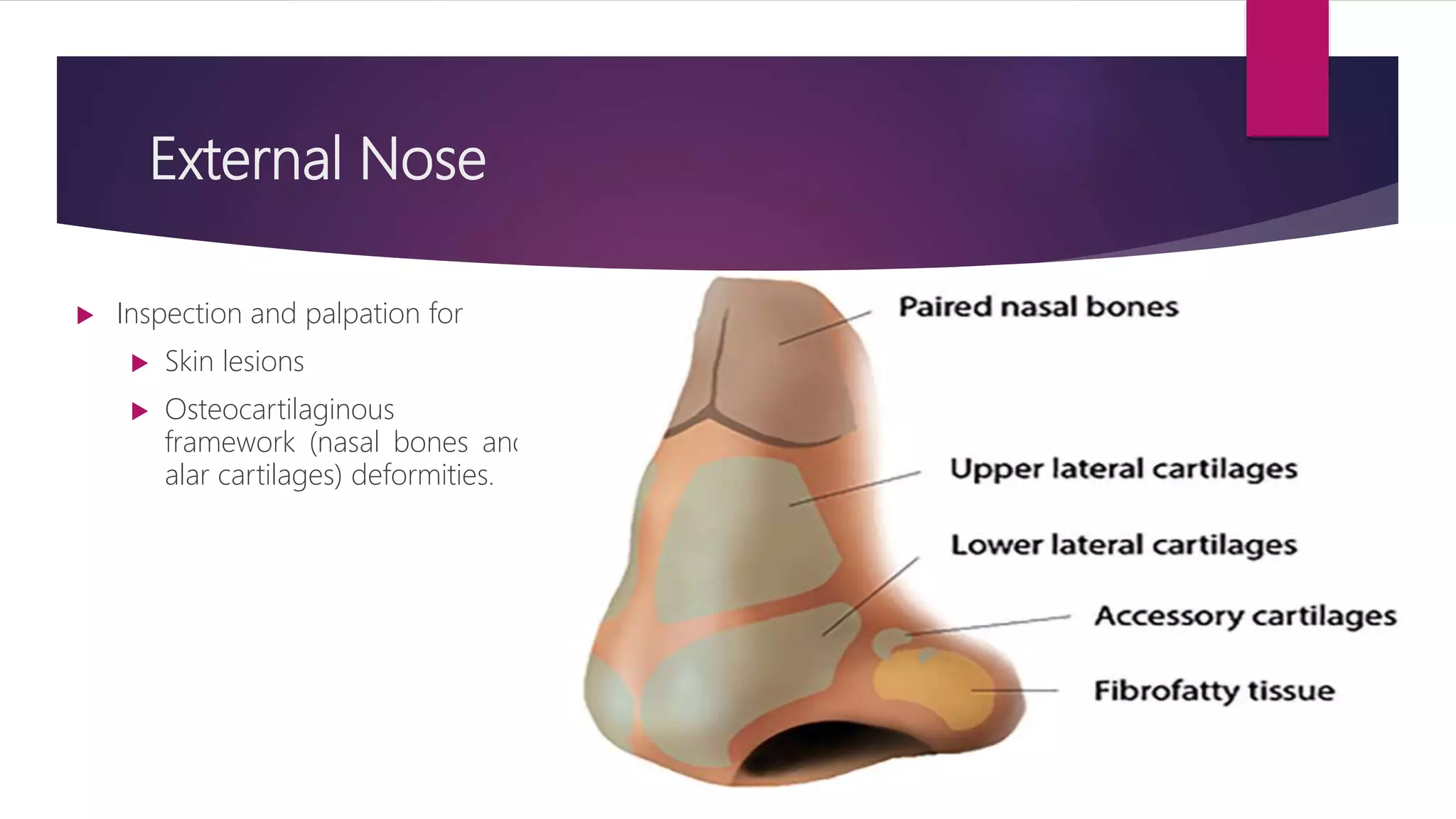 Examination of nose | PPTX