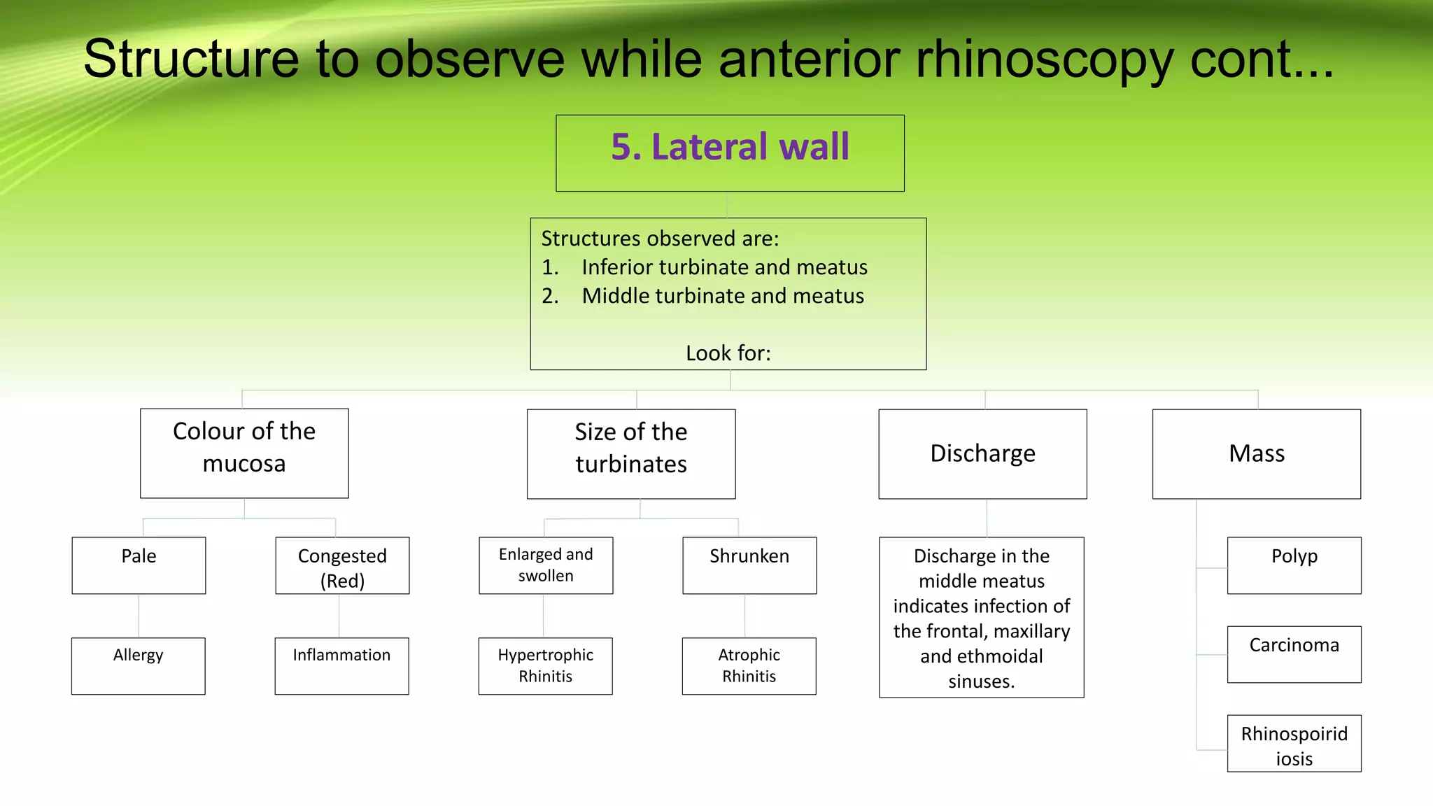Examination of nose | PPTX