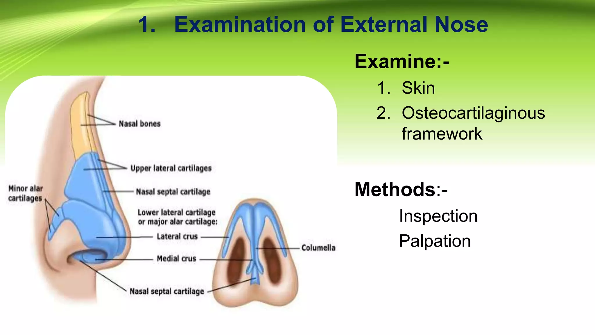 Examination of nose | PPTX