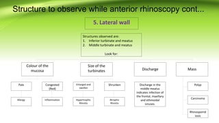 Examination of nose | PPTX