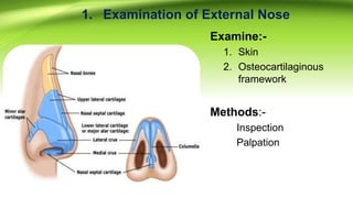 Examination of nose | PPTX
