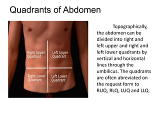 examination of patient.pdf