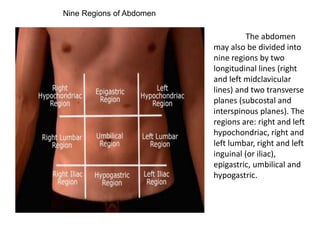 examination of patient.pdf