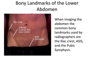 examination of patient.pdf