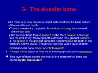 examination_of_periodontium.ppt