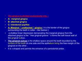 examination_of_periodontium.ppt