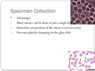 Examination of Peripheral Blood Smear paramed ir part 1.pptx