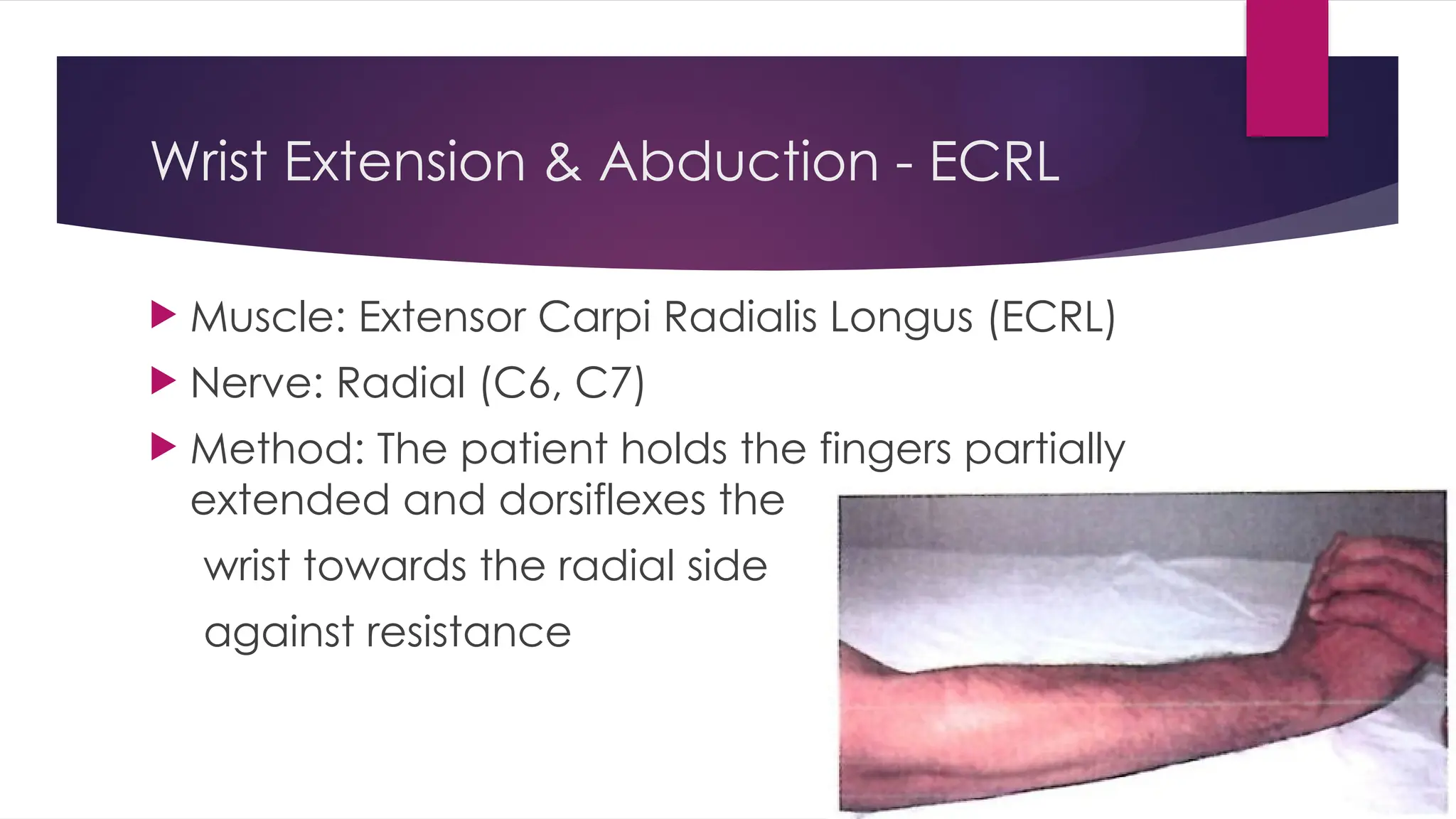 Examination of power of muscles copy.pptx