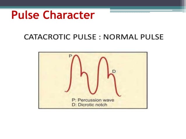 Examination of pulse | PPTX