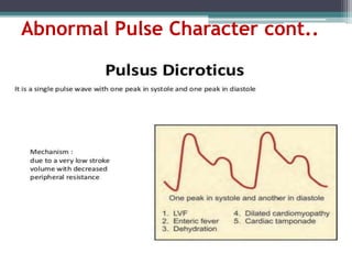 Examination of pulse | PPTX