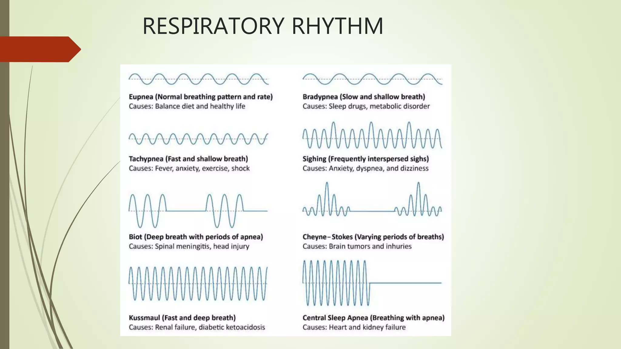 EXAMINATION OF RESPIRATORY SYSTEM.pptx