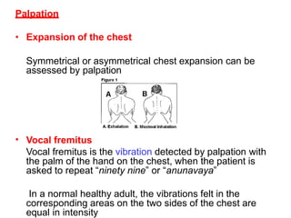 examination of respiratory sytem.pptx