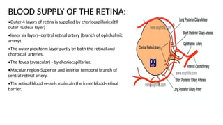 examination of retina and its function for medical students | PPTX