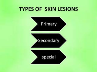 Primary Skin Lesions Chart