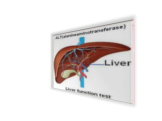 Examination of sgpt | PPTX