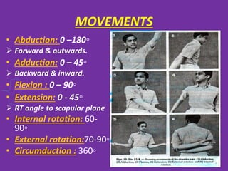 Examination of shoulder | PPTX