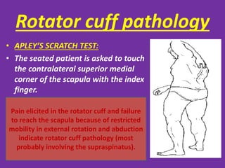 Examination of shoulder | PPT