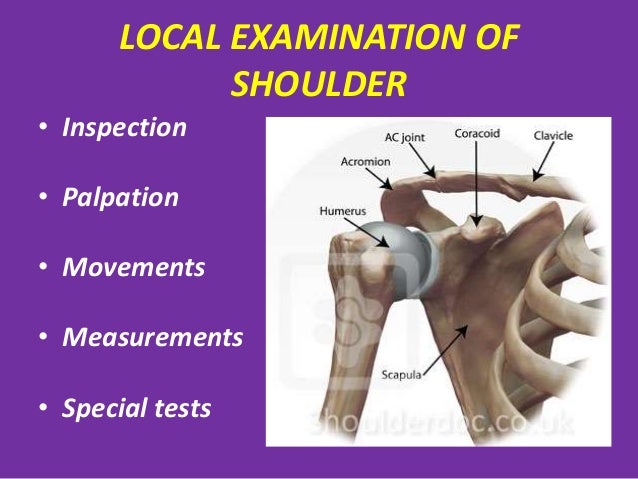 Examination of shoulder