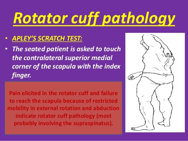 Examination of shoulder