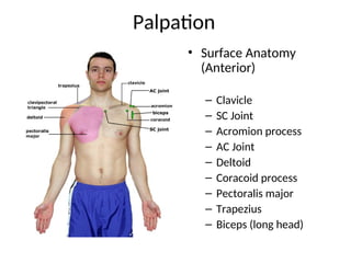 Examination of shoulder Hamed.ppt FOR MEDICAL STUDENTS | PPT