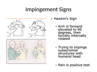 Examination of shoulder Hamed.ppt FOR MEDICAL STUDENTS | PPT
