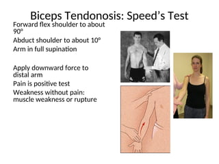 Examination of shoulder Hamed.ppt FOR MEDICAL STUDENTS | PPT