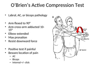 Examination of shoulder Hamed.ppt FOR MEDICAL STUDENTS | PPT