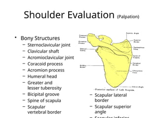 EXAMINATION OF SHOULDER JOINT-1.pddfffptx | PPTX