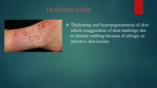 EXAMINATION OF SKIN.pptx