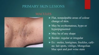 EXAMINATION OF SKIN.pptx