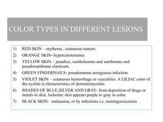 EXAMINATION OF SKIN.pptx and diagnostic tools | PPTX