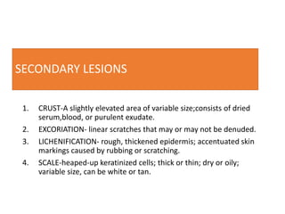 EXAMINATION OF SKIN.pptx and diagnostic tools | PPTX