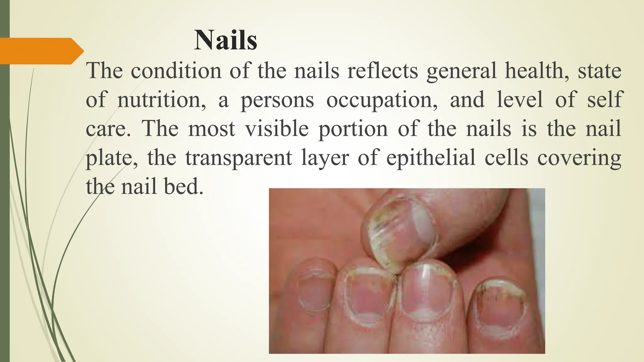 EXAMINATION OF SKIN, HAIR AND NAILS.pptx