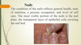 EXAMINATION OF SKIN, HAIR AND NAILS.pptx