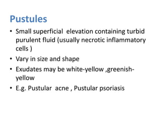 Examination of skin | PPTX