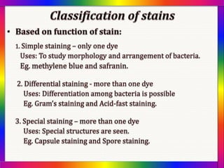 examination of stained microorganisms.pptx