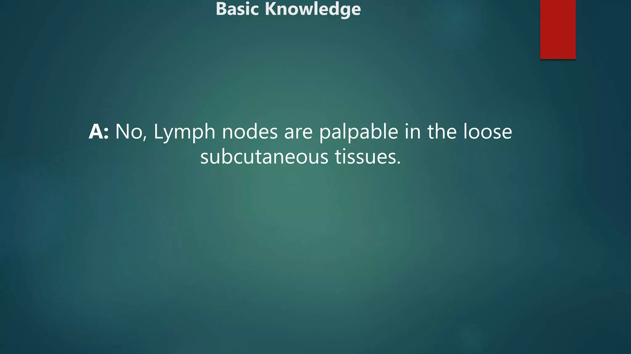 Examination of superficial lymph nodes in dogs and cat | PPTX